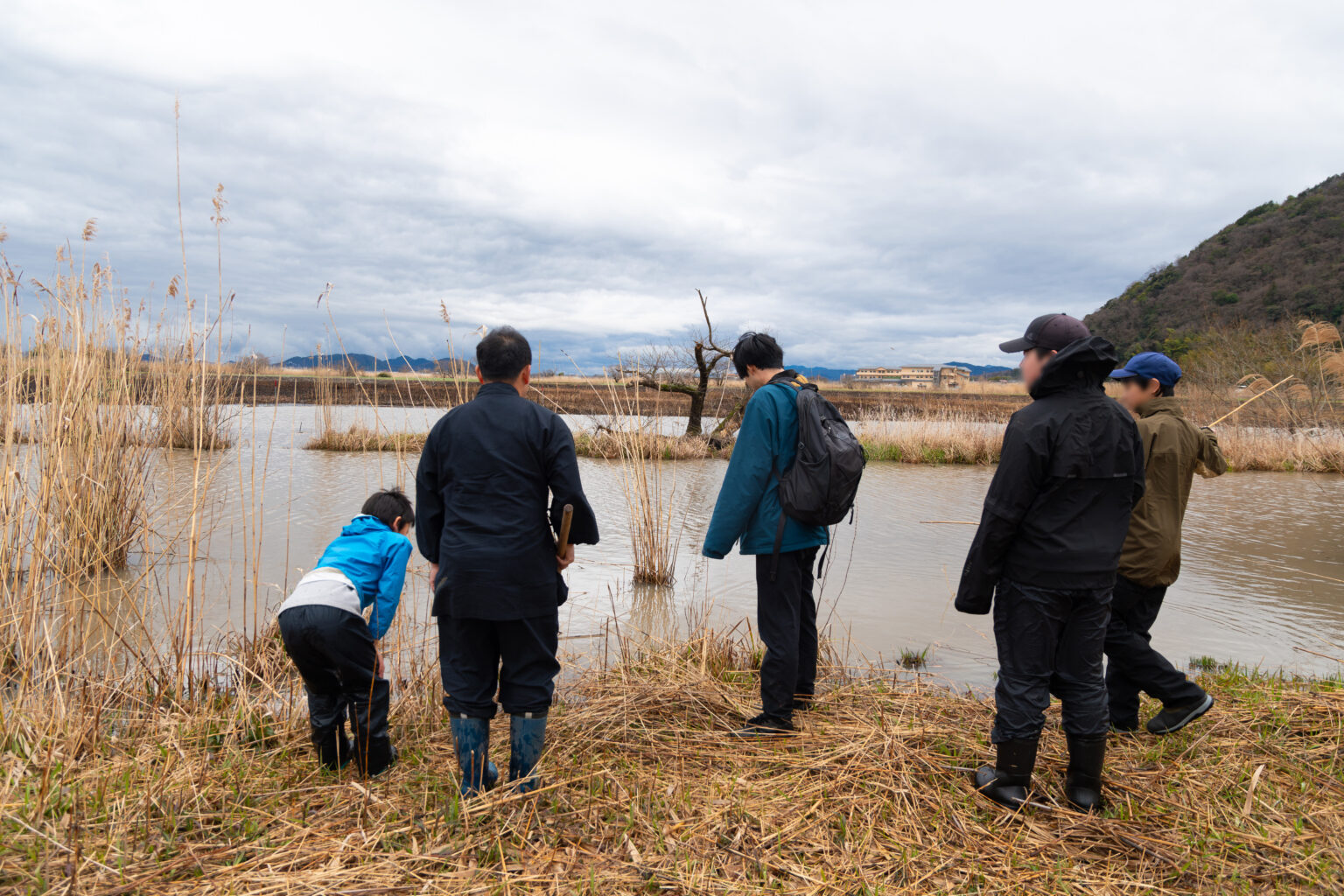 めぐるり近江八幡 | 「今、やらなあかん」先人から次世代へ、ヨシ文化を受け継いでいく
