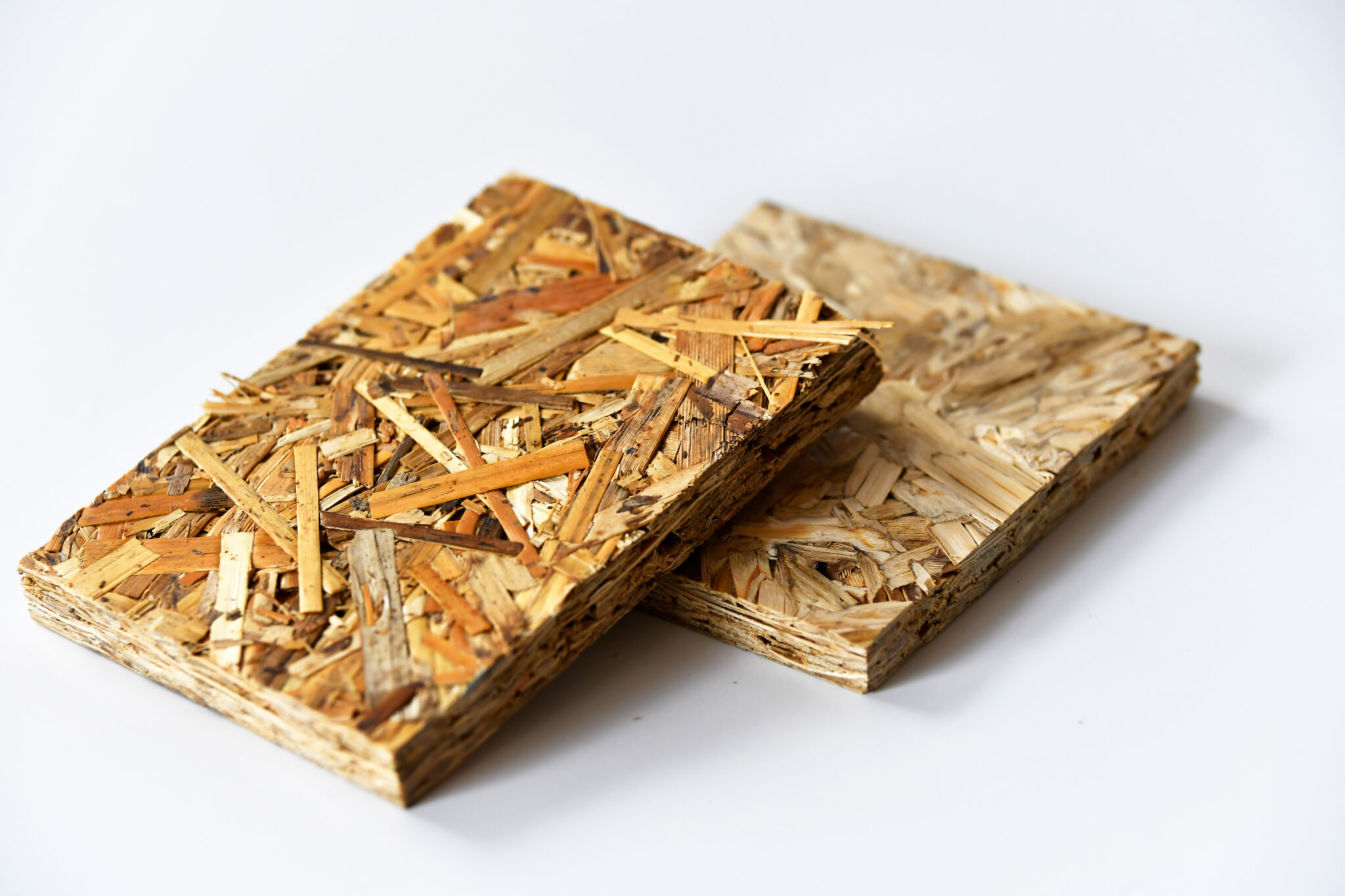 めぐるり近江八幡 | 「今、やらなあかん」先人から次世代へ、ヨシ文化を受け継いでいく